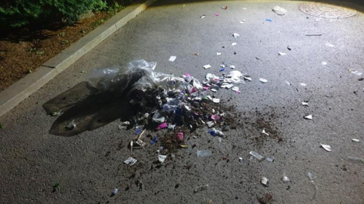 Garbage, Balloons, and Korean Unification Values - Beyond Parallel